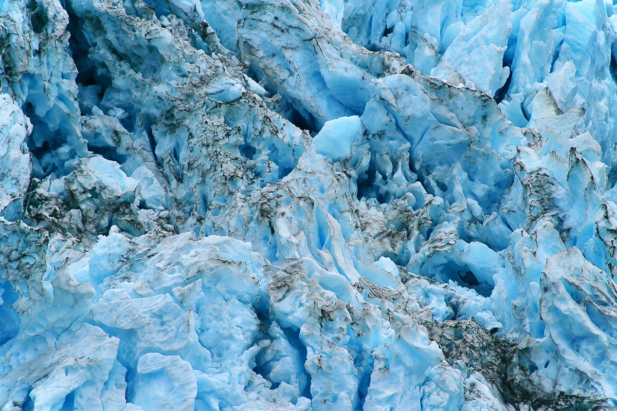 Nature's Collection : Patterns