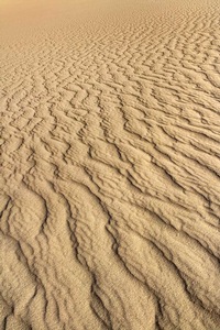 Nature's Collection : Patterns