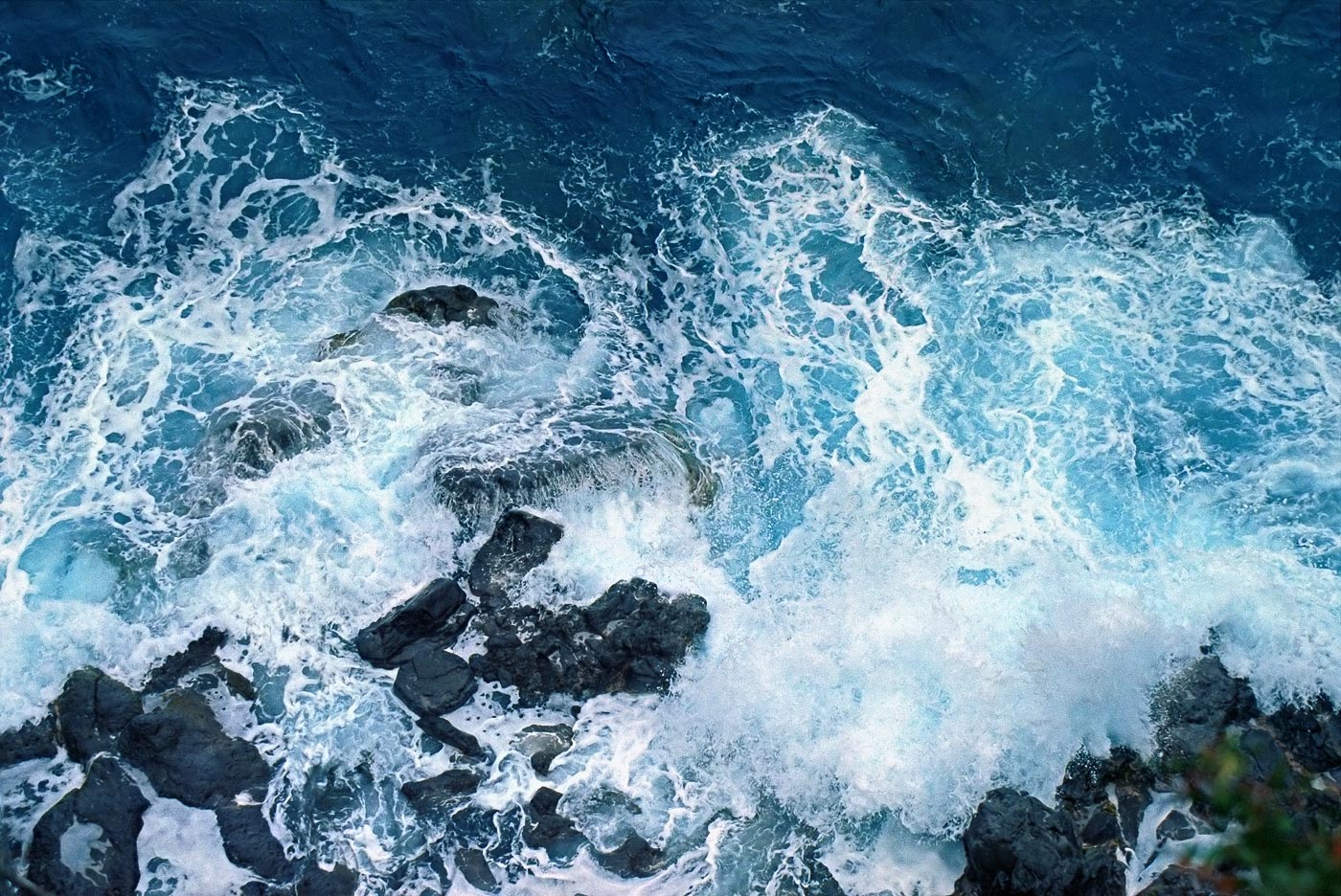 Nature's Collection : Patterns